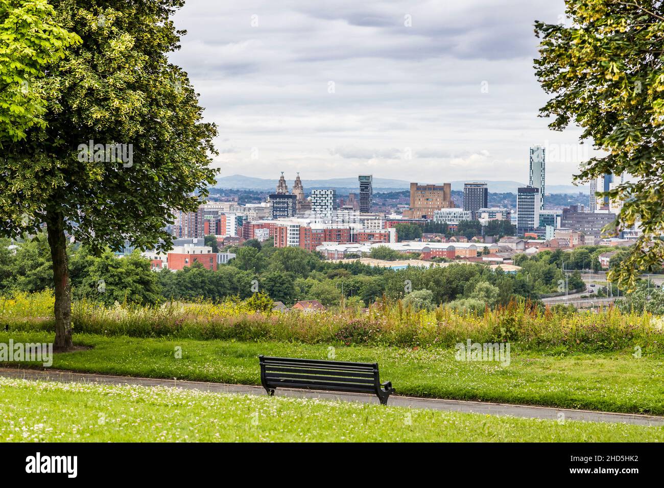A bench seen between trees overlooking the Liverpool skyline from ...