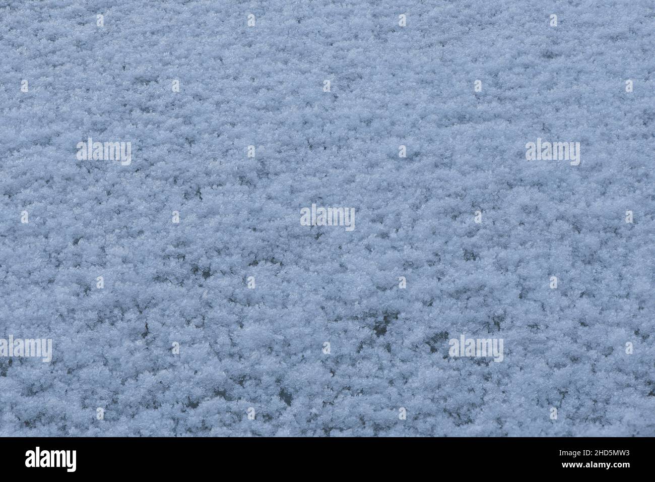 Snow background, texture for winter. High resolution photo. Full depth ...