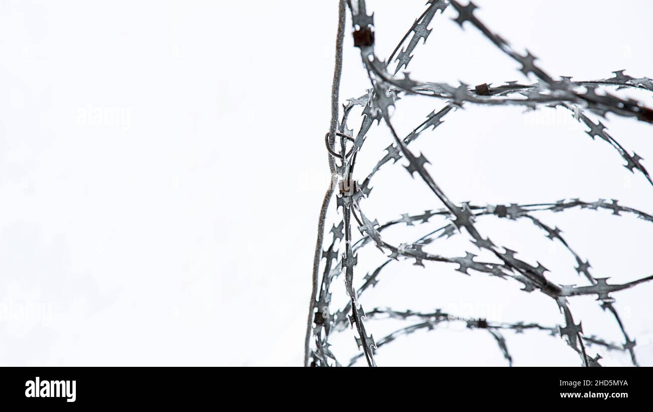 Barbed wire on a light background. Fence close-up. The fence is close ...