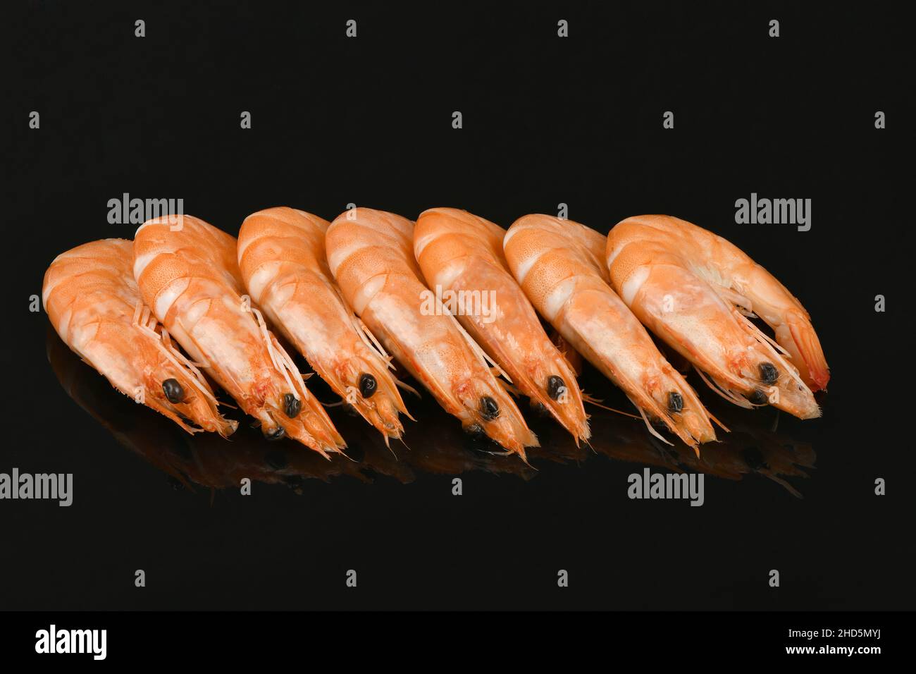 Shrimp isolated on acrylic black background. High resolution photo ...