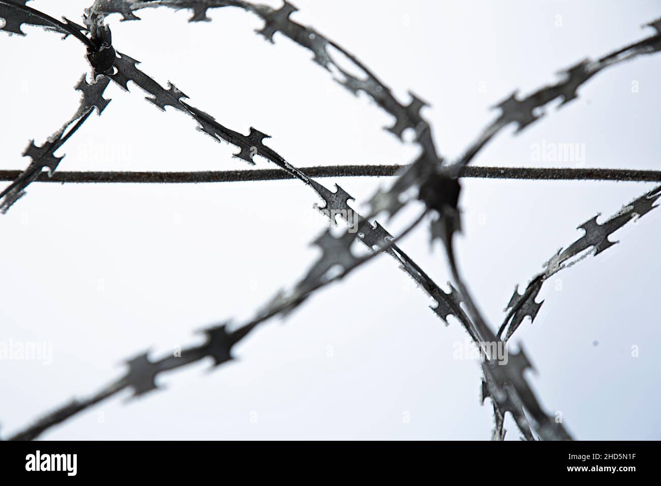 Barbed wire on a light background. Fence close-up. The fence is close ...