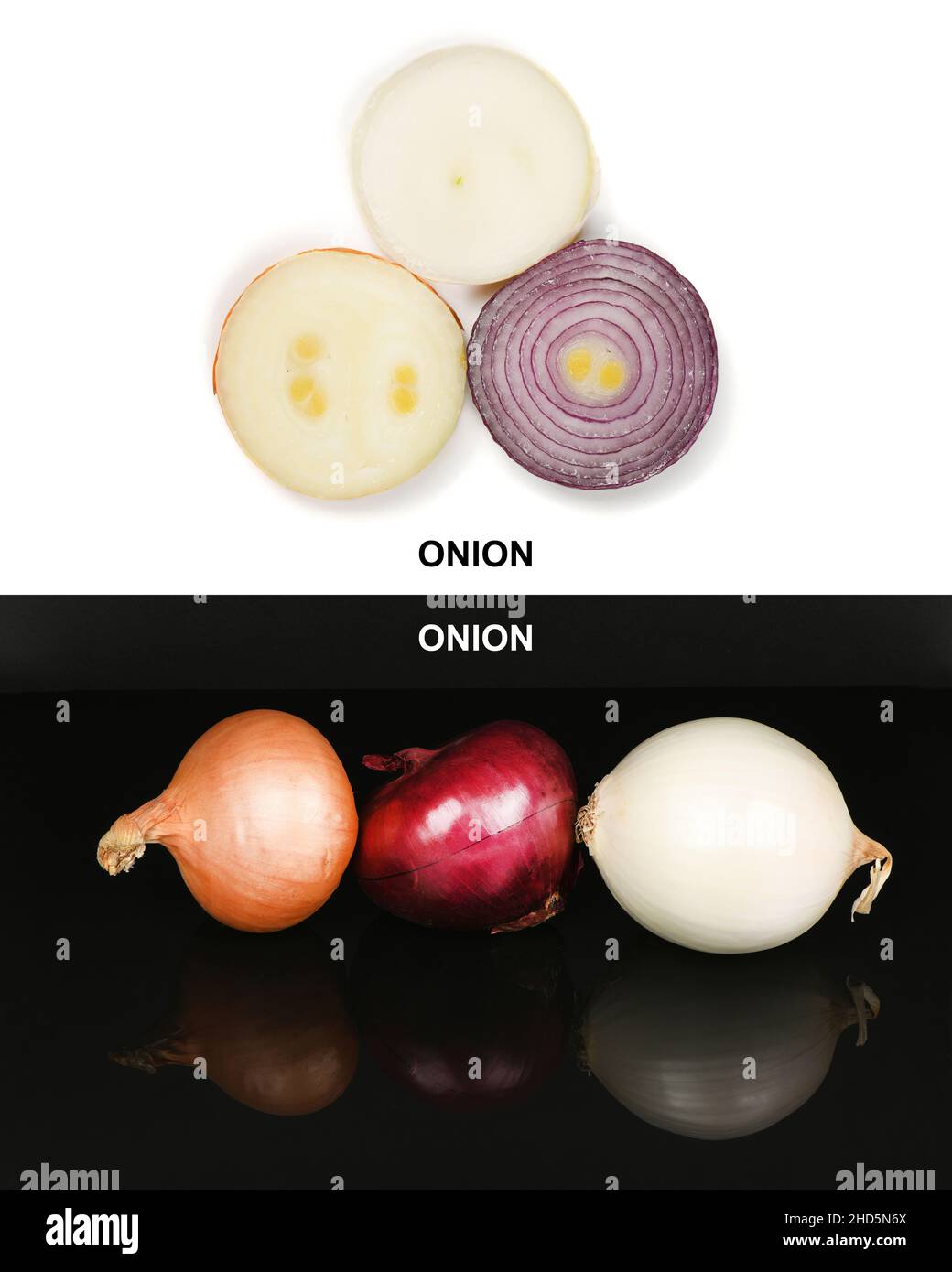 Creative layout made of three onion bulbs of different colors (red ...