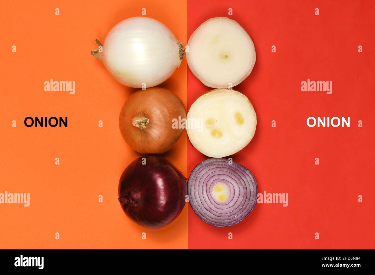Creative layout made of three onion bulbs of different colors (red ...