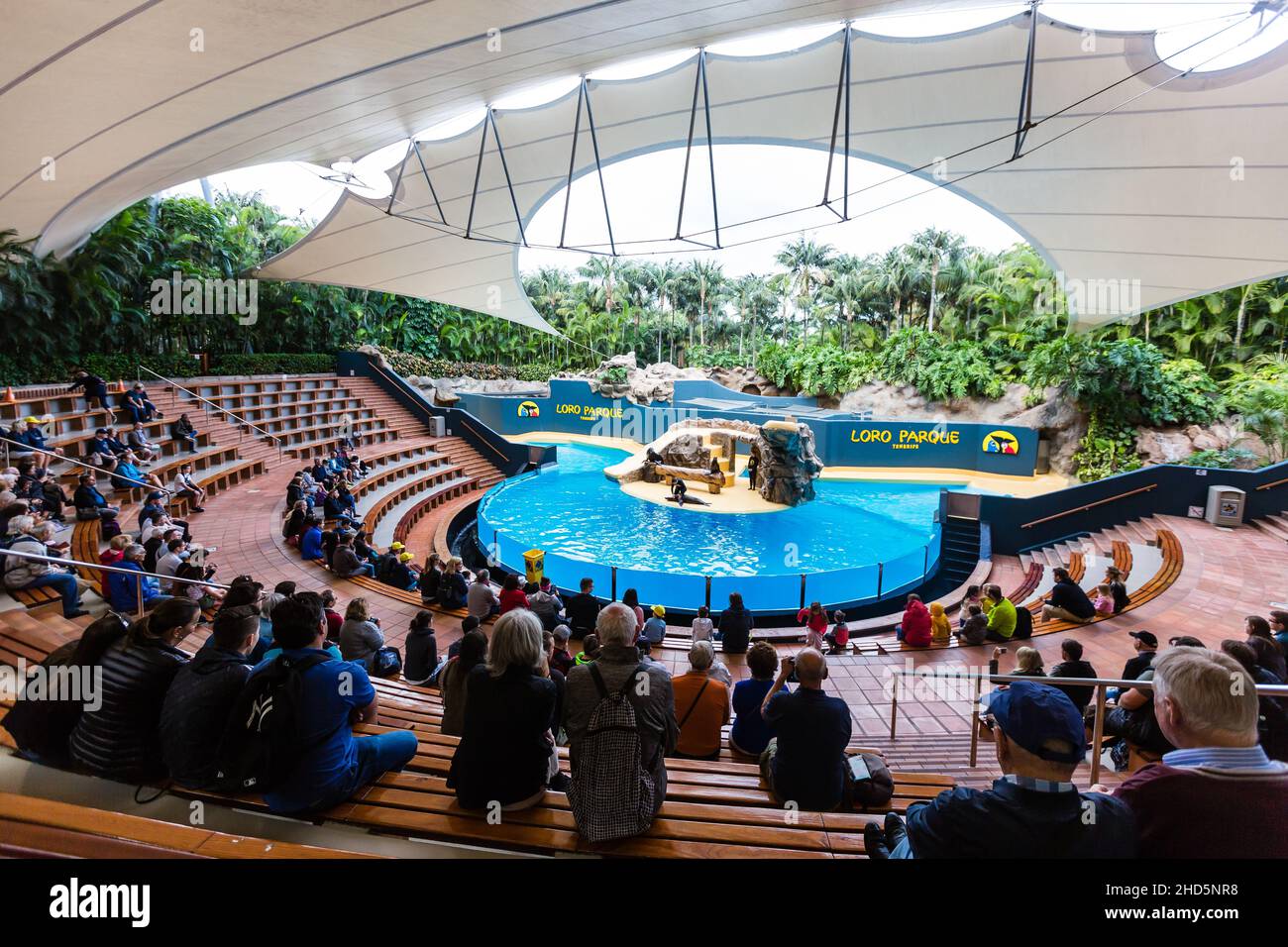 loro park, Tenerife, Spain; January 7, 2020: Sea Lions Show in Loro ...