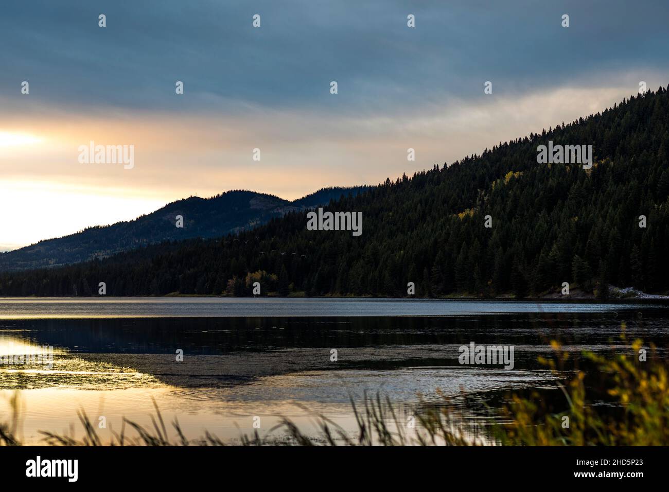 Beauvais lake provincial park hi-res stock photography and images - Alamy