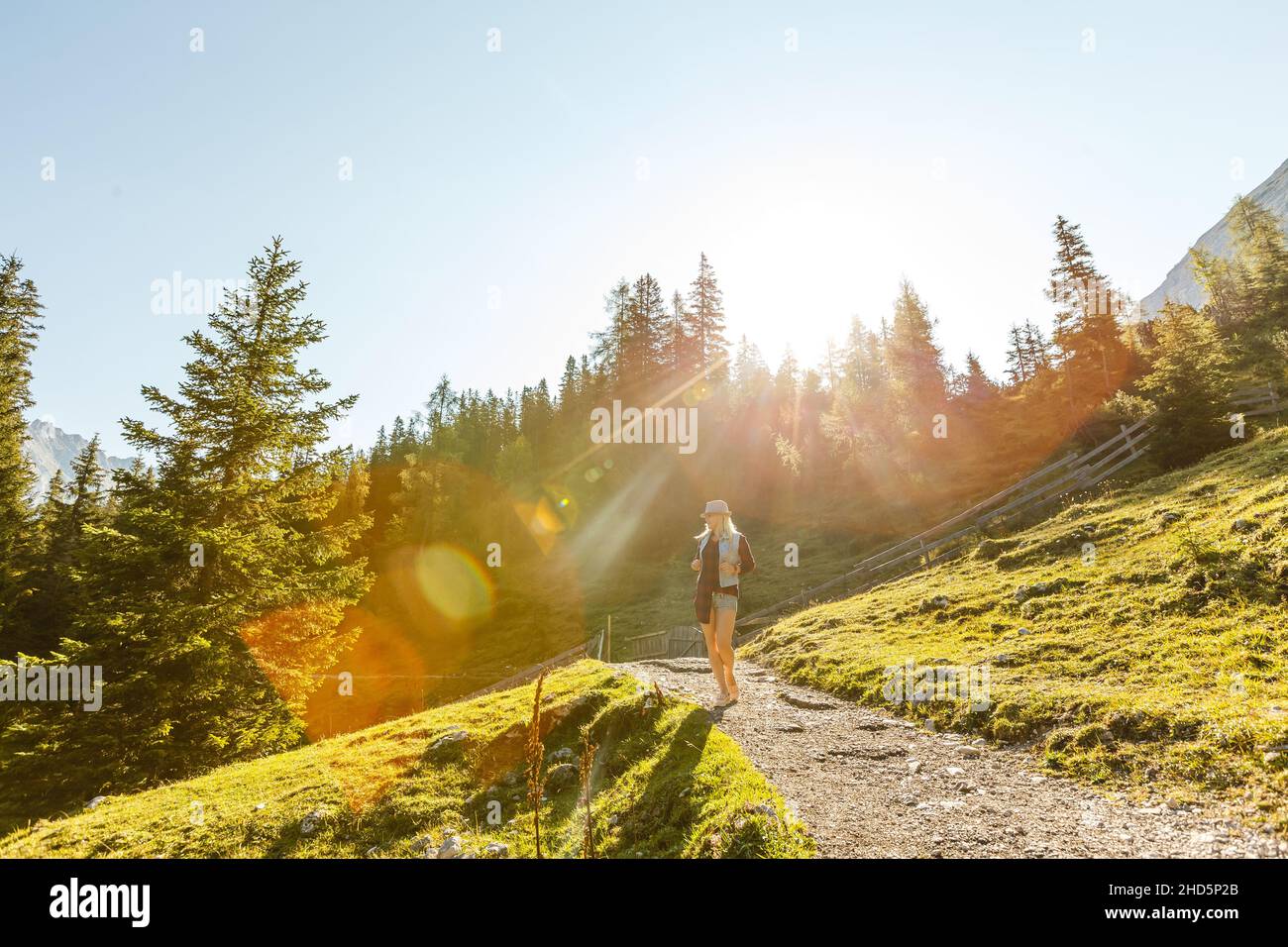 Young beautiful woman traveler , mountains Alps background Stock Photo ...