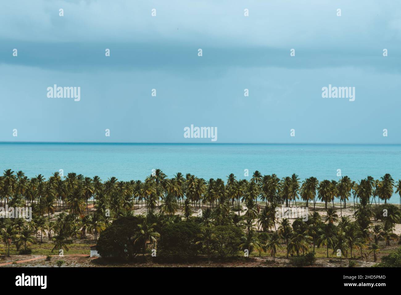 Amazing beach scenario seen from an outlook with blue sea and palm ...