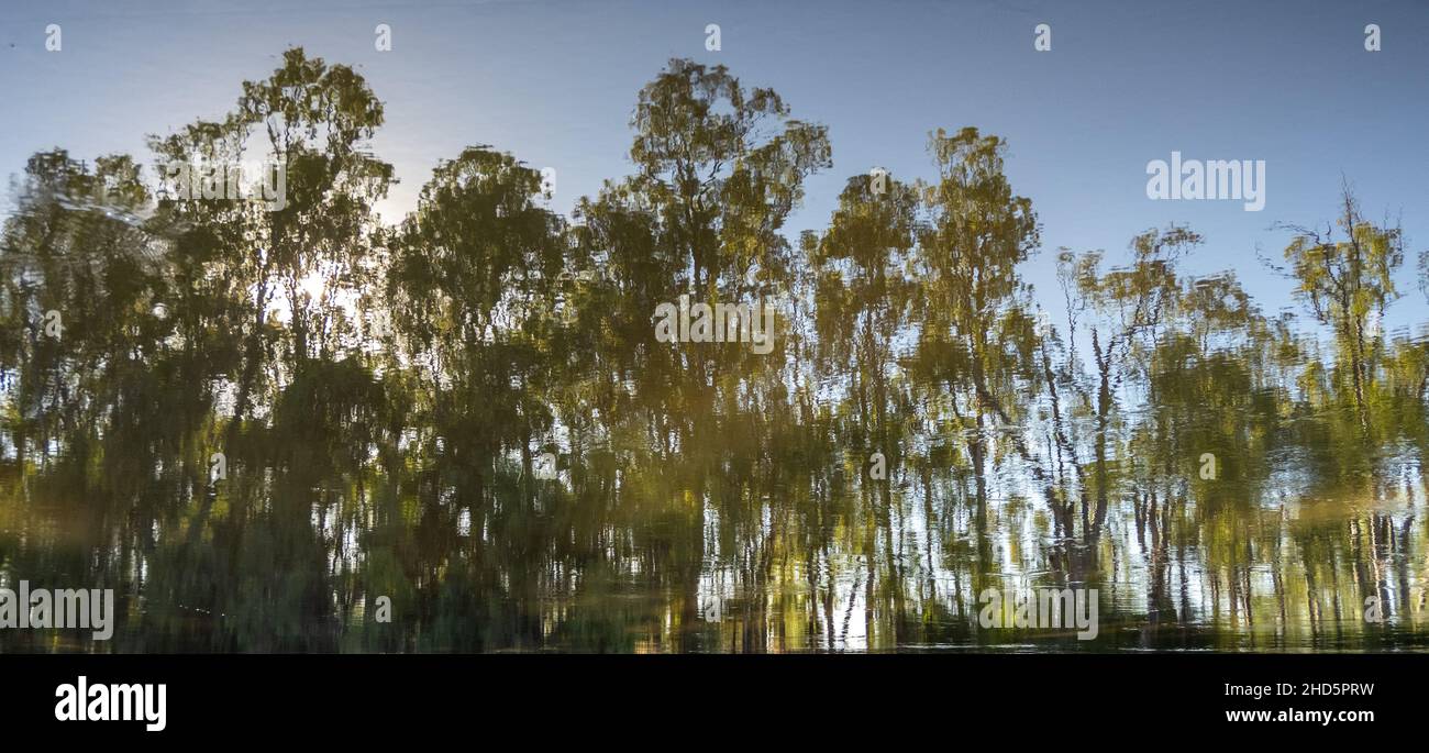 New south wales nature hi-res stock photography and images - Alamy