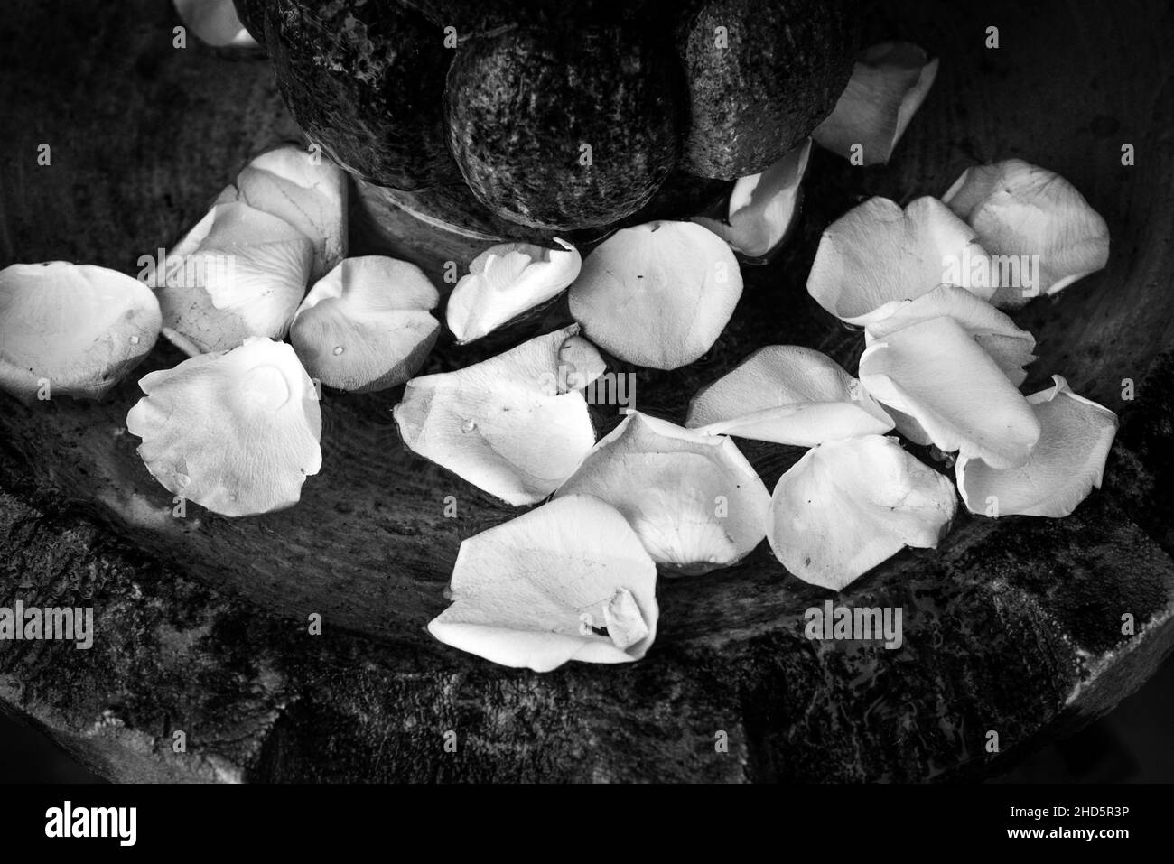 Mexico wallpaper Black and White Stock Photos & Images - Alamy