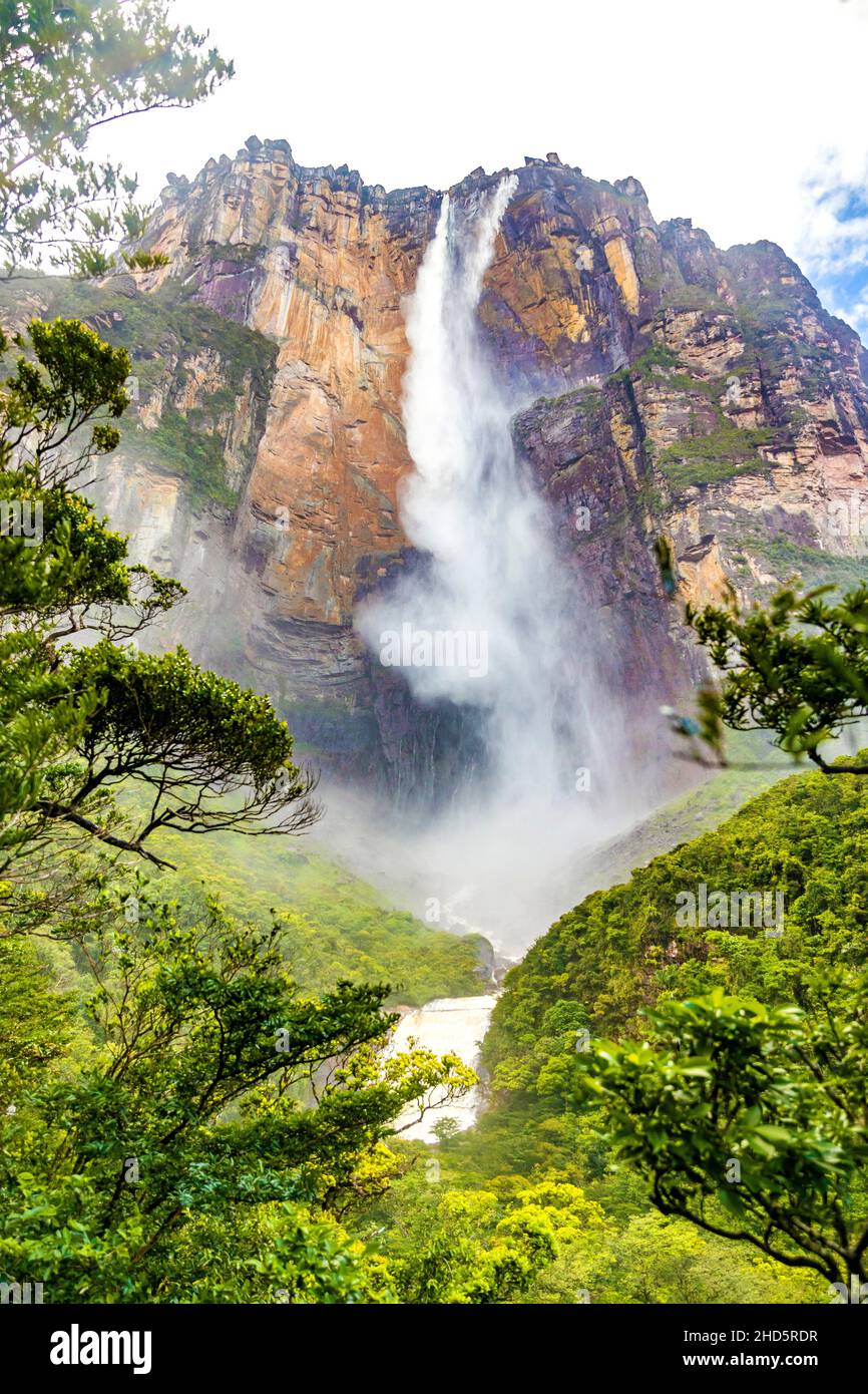 Scenic view of world's highest waterfall Angel Fall in Canaima ...