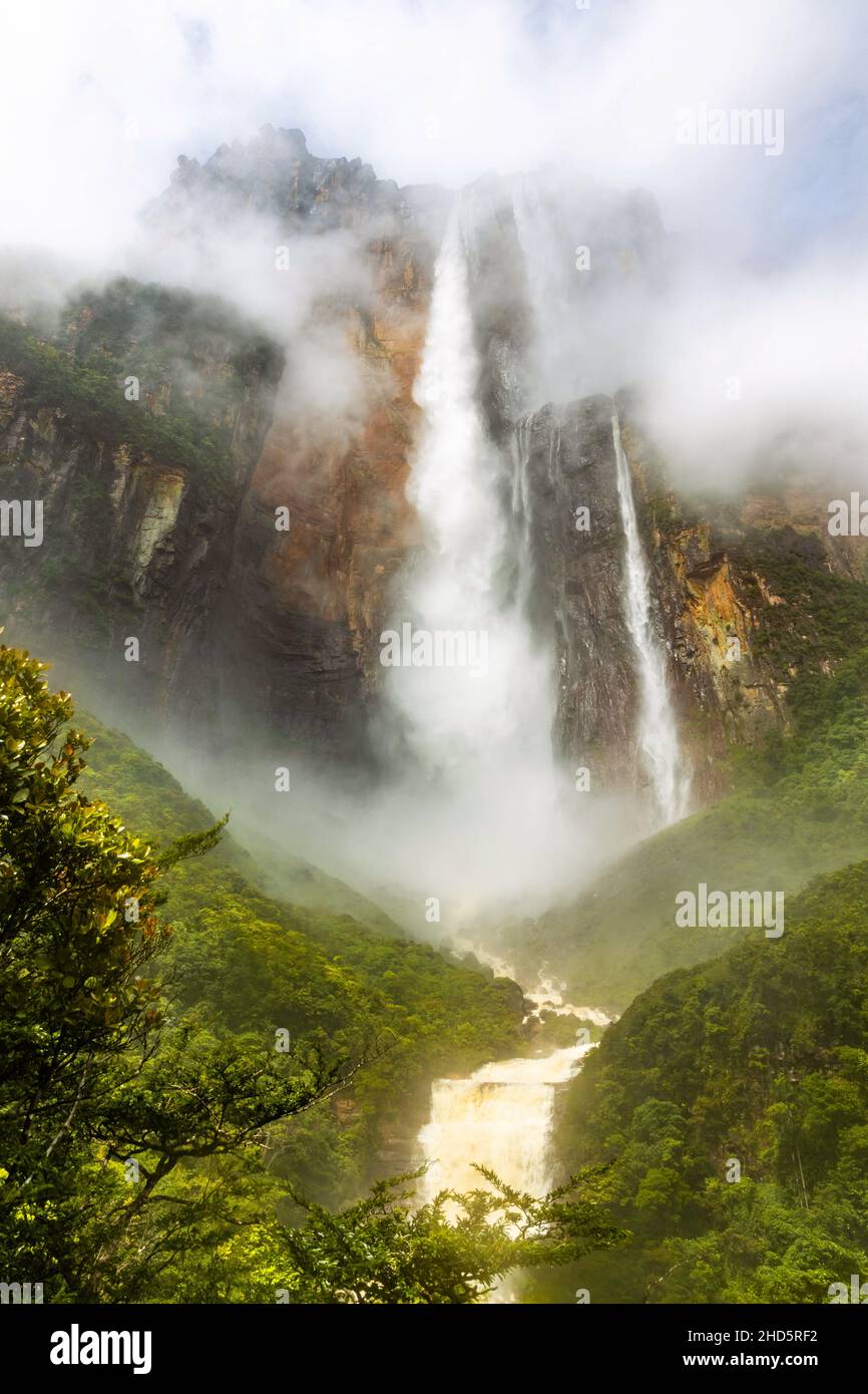 Scenic view of world's highest waterfall Angel Fall in Canaima ...