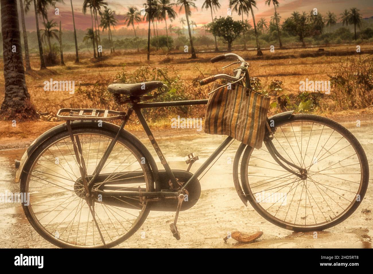 Beauty of rural Goa. High resolution intimate recollection of idyllic holiday location for ...