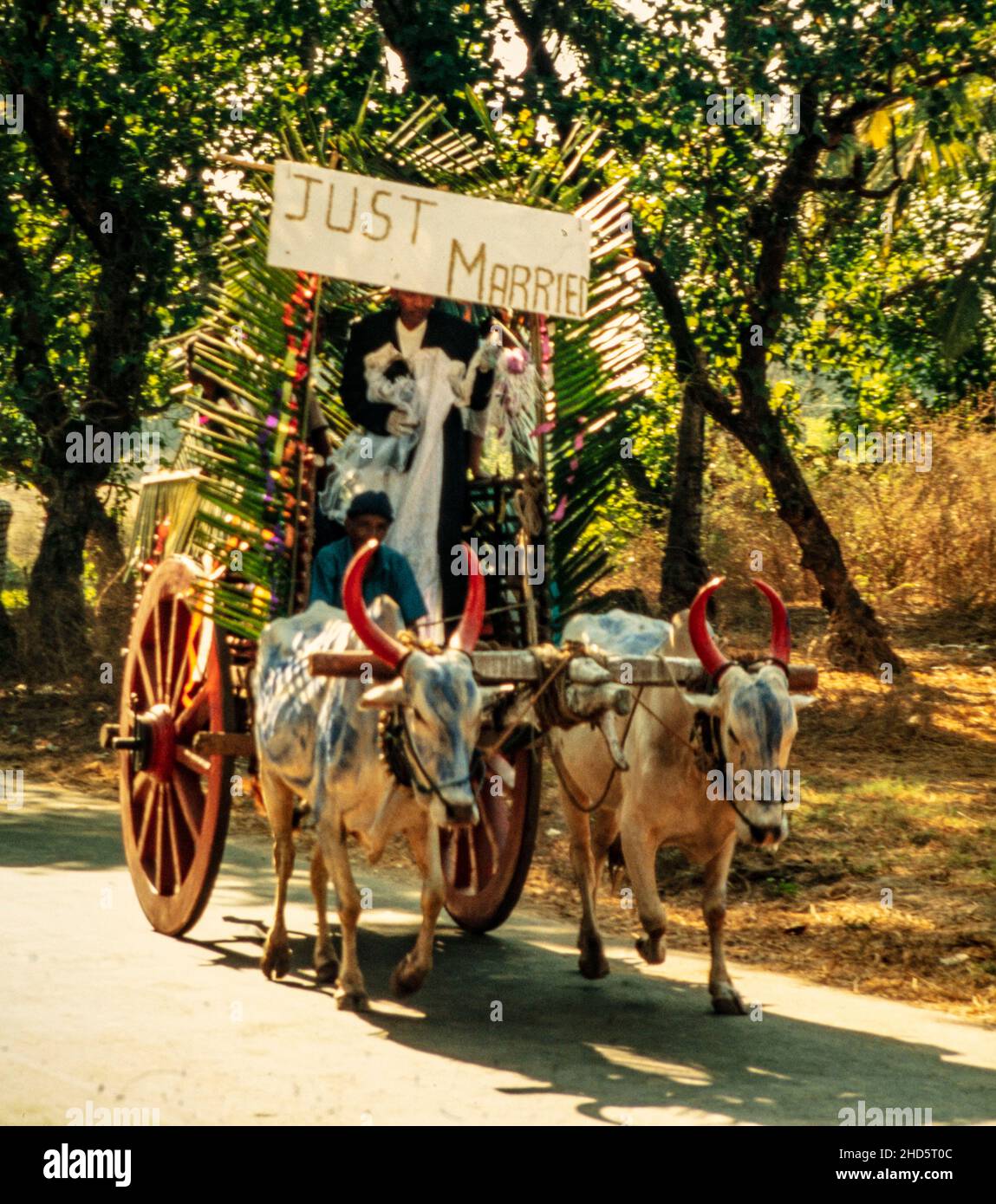 Beauty of rural Goa. High resolution intimate recollection of idyllic ...