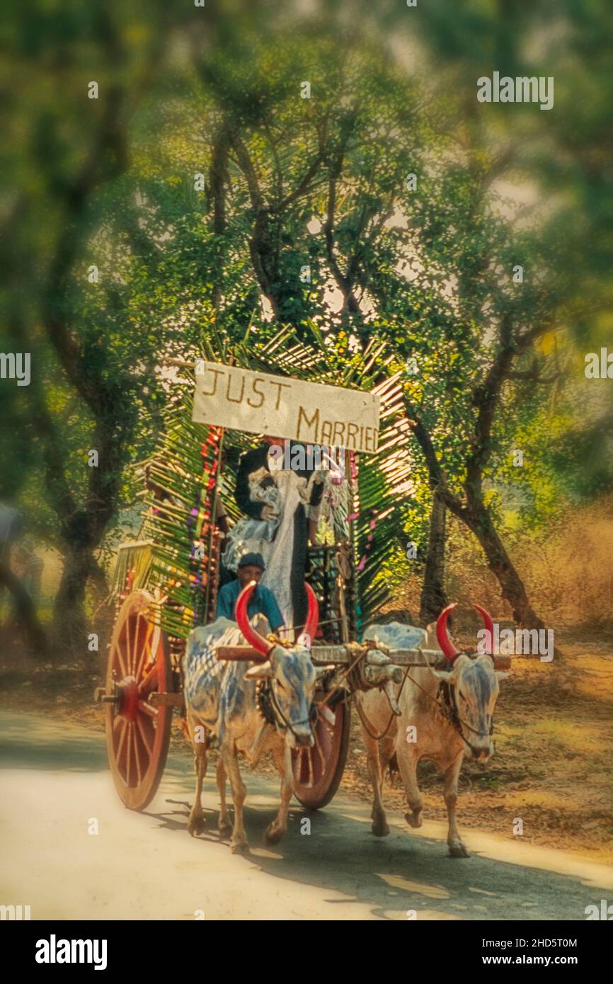 Beauty of rural Goa. High resolution intimate recollection of idyllic holiday location for ...