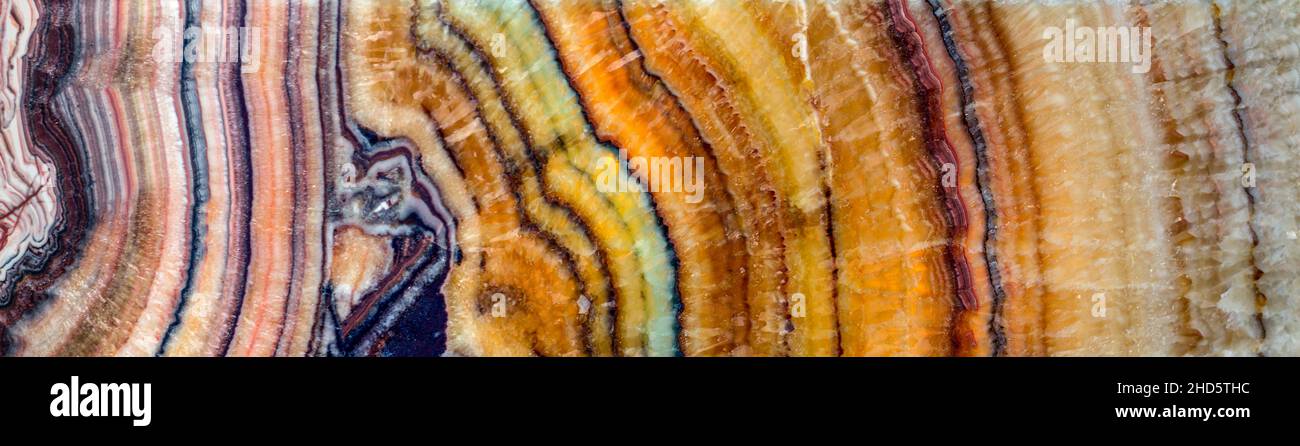 Close-up slice or slab of a geode type agate or quartz and it's many ...