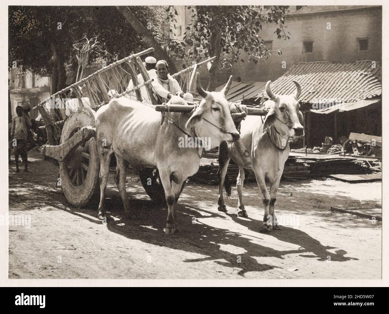 Vintage early 20th century travel photograph: c.1910 India - ox cart ...