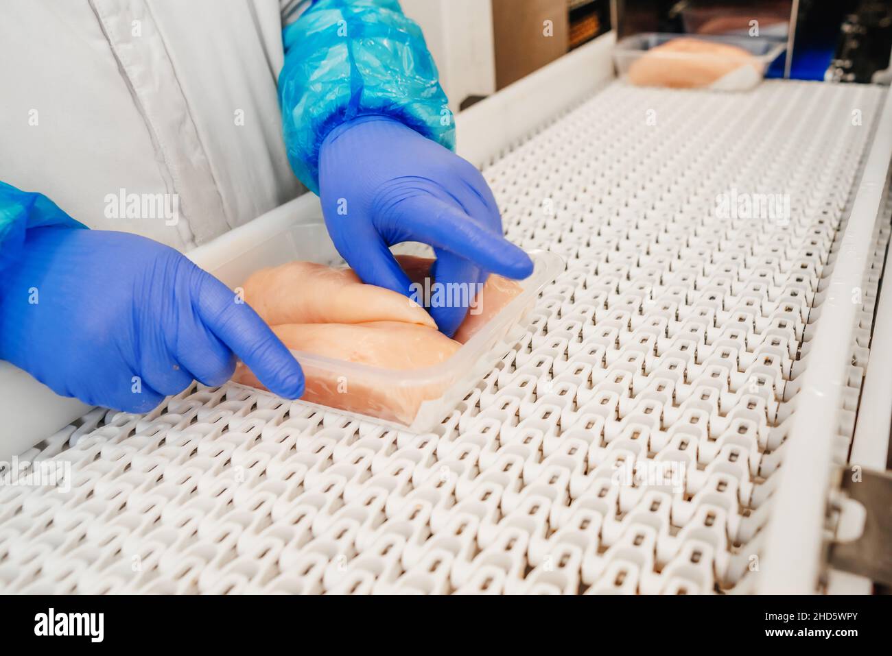 Automated production line with packaging and cutting of meat in modern ...