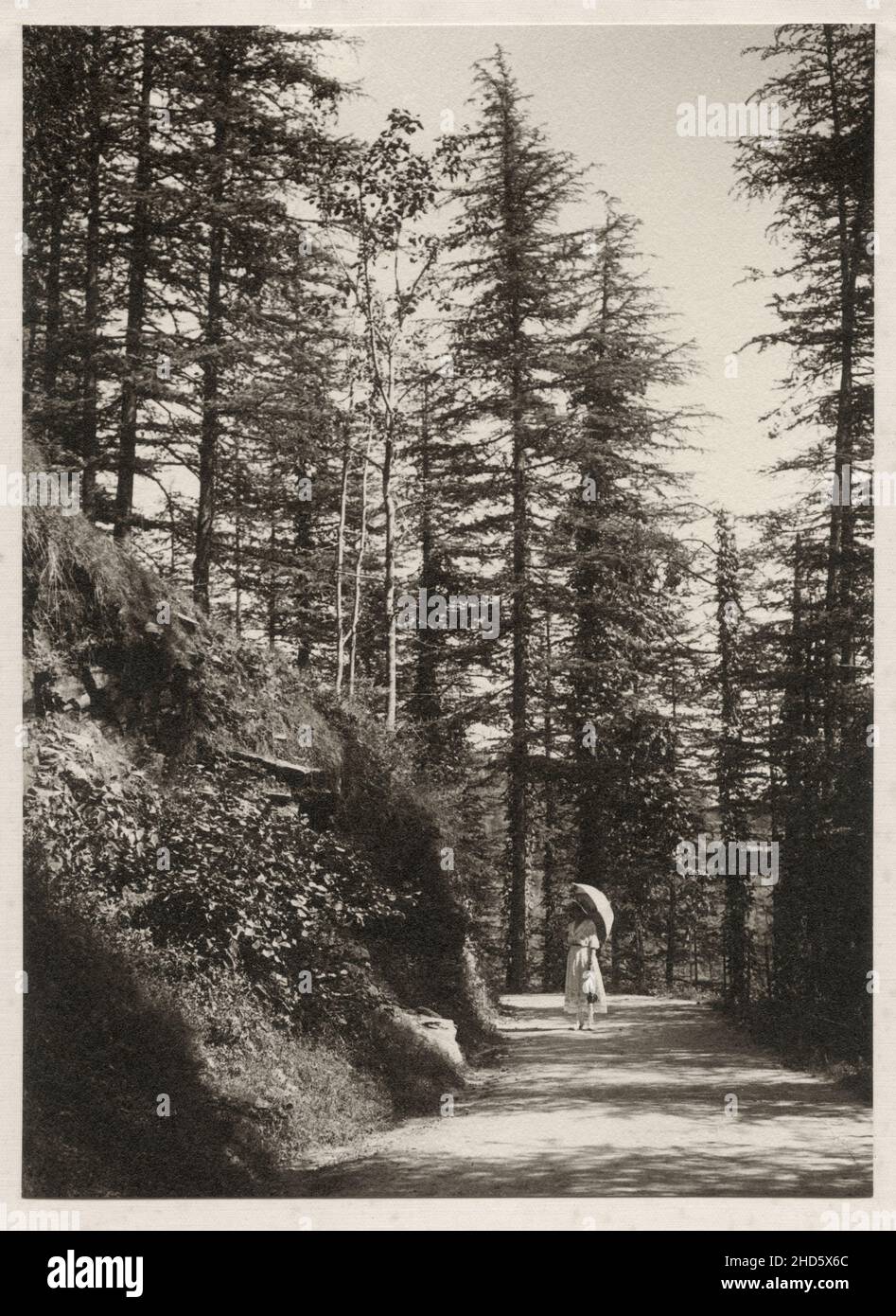 Simla 1900 hi-res stock photography and images - Alamy