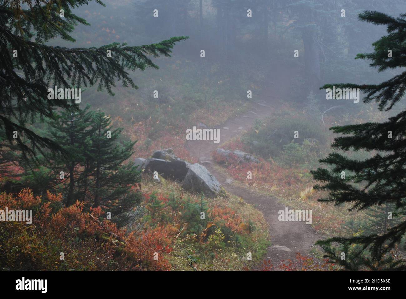 Autumn colors in the Cascade Mountains Stock Photo - Alamy