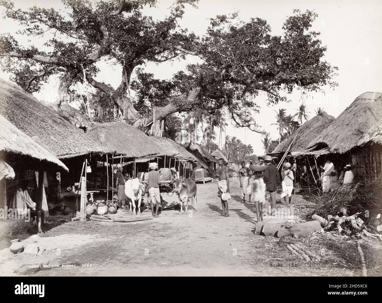 Vintage 19th century photograph: Street in Alipore, Calcutta, Kolkata ...