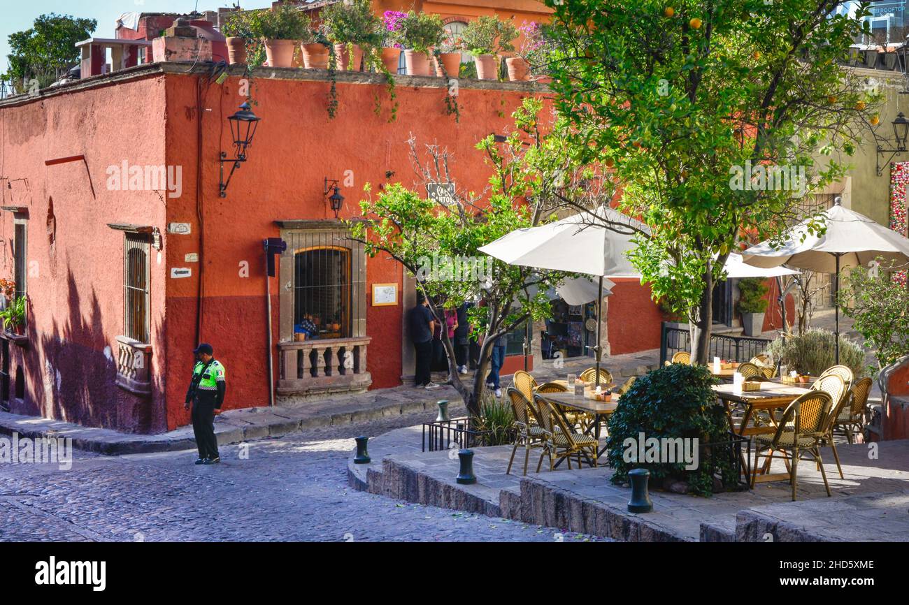Quince rooftop hi-res stock photography and images - Alamy