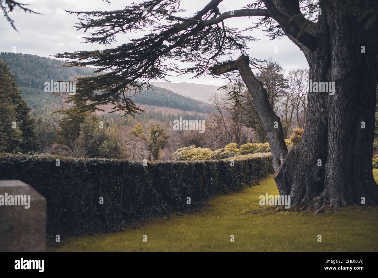 Landscape in Tollymore Forest Park Newcastle UK in autumn Stock Photo ...