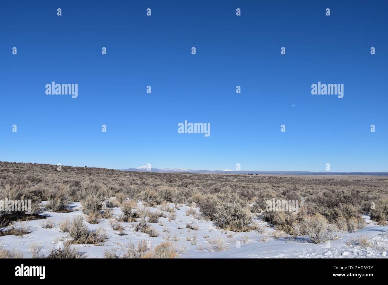 Sagebrush steppe hi-res stock photography and images - Alamy