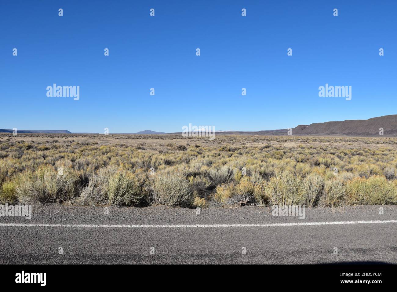 Sagebrush Steppe seen from Highway 140 (the Warner Highway) in the Adel ...