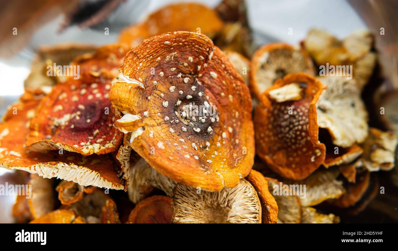 Useful properties of red fly agaric. The oldest entheogen - muscarine ...