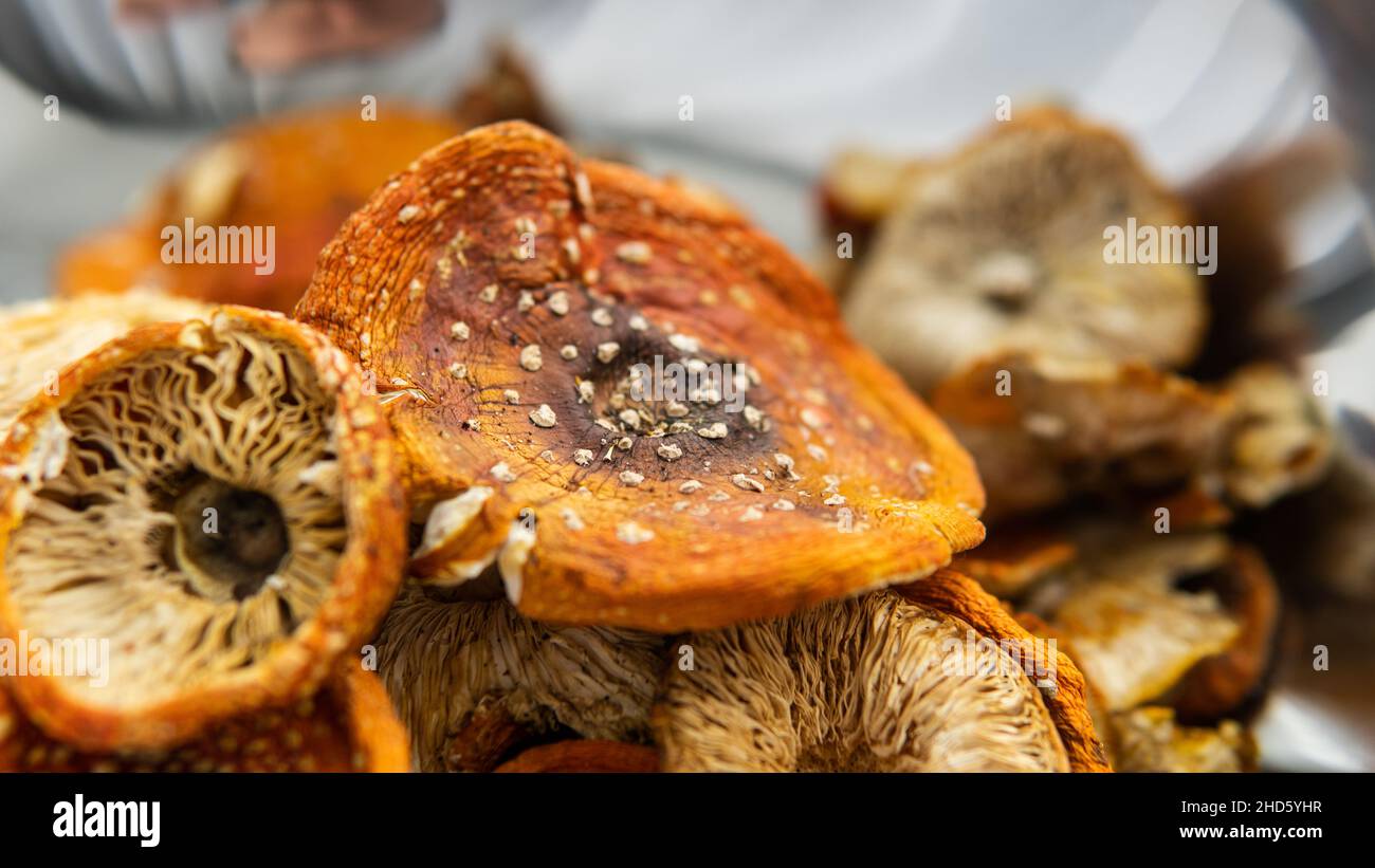 Useful properties of red fly agaric. The oldest entheogen - muscarine ...