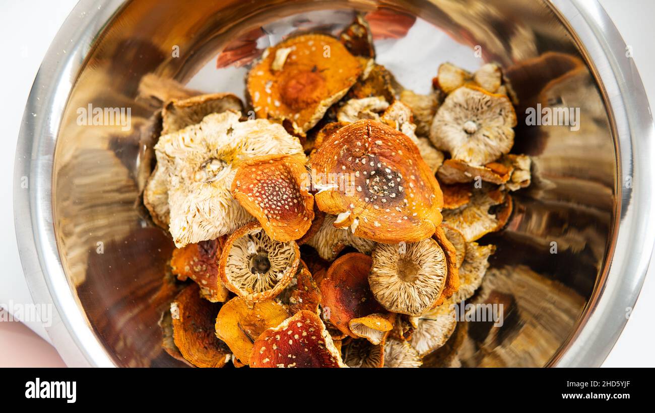 Useful properties of red fly agaric. The oldest entheogen - muscarine ...