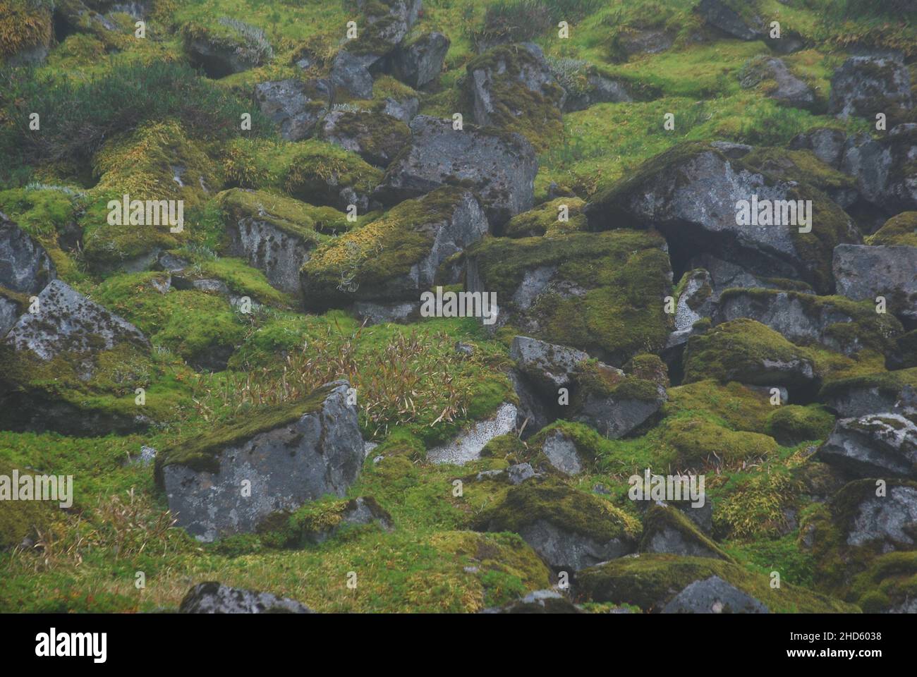 Talus slope hi-res stock photography and images - Alamy