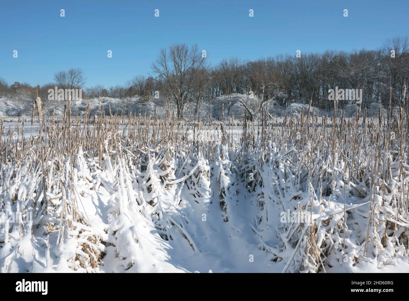 Midwest snowfall hi-res stock photography and images - Alamy