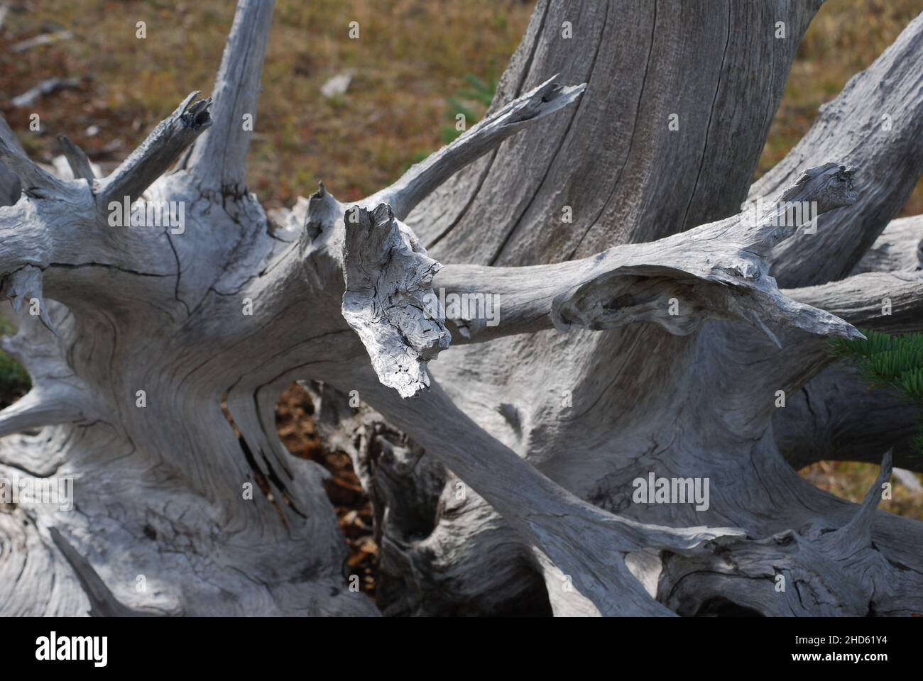 Weathered paths hi-res stock photography and images - Alamy