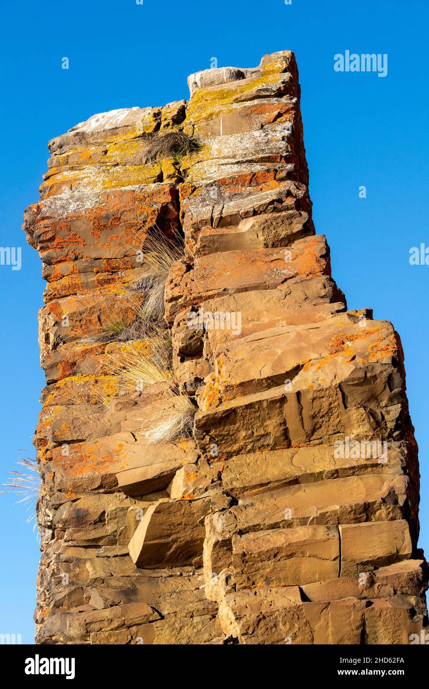 Columnar basalt column with red and orange lichen and grasses, Rode O ...