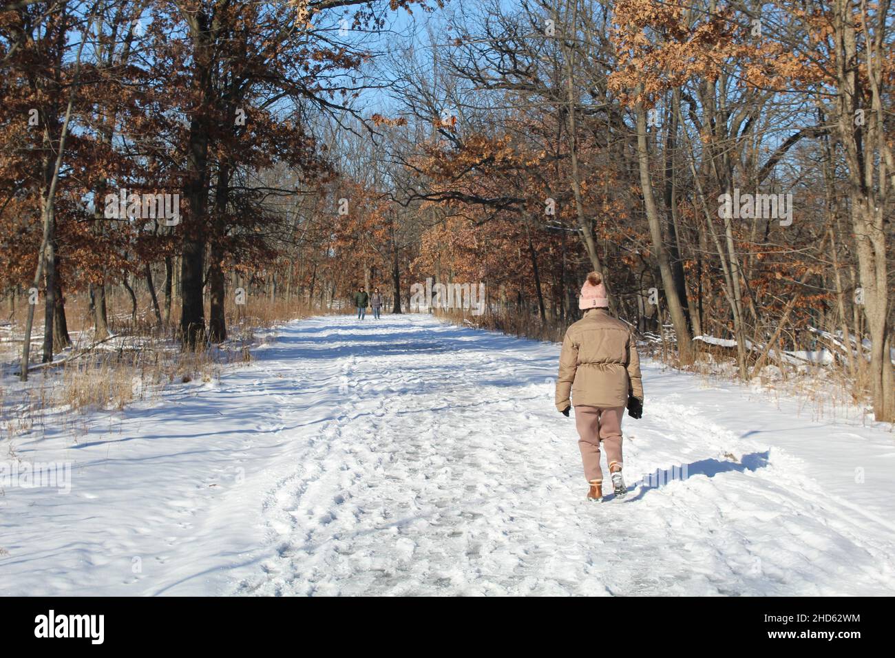 Woman walking on the North Branch Trail in winter at Miami Woods with ...