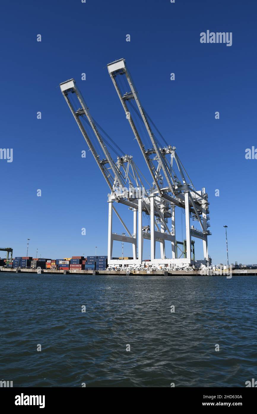 Container loading cranes san hi-res stock photography and images - Alamy