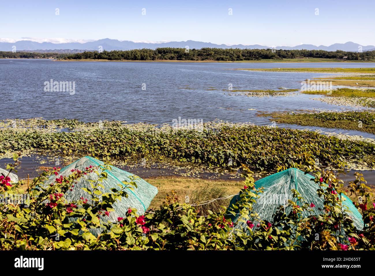Beautiful landscape at Paoay Lake, Ilocos Norte, Philippines Stock ...