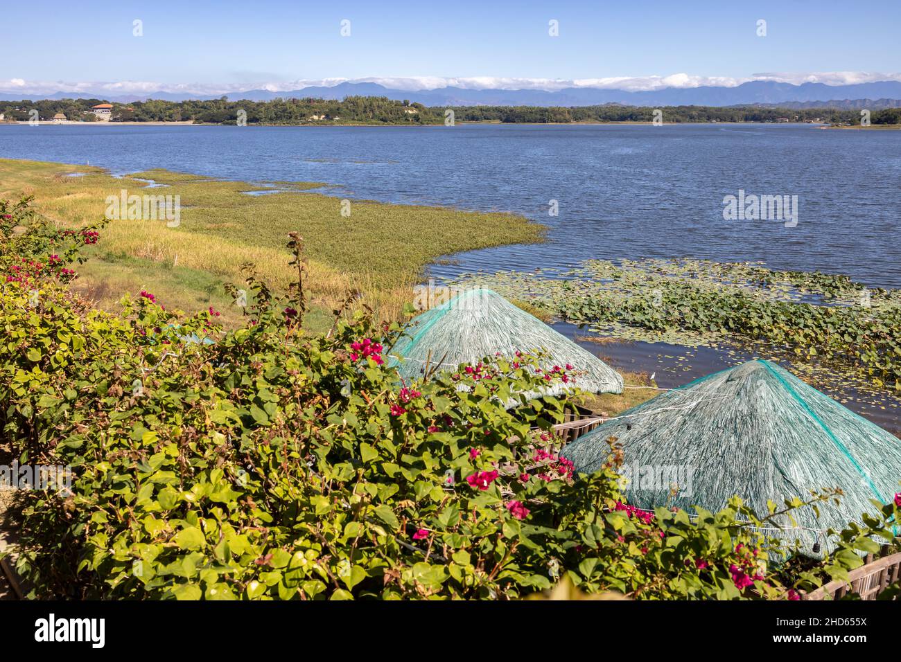 Beautiful landscape at Paoay Lake, Ilocos Norte, Philippines Stock ...