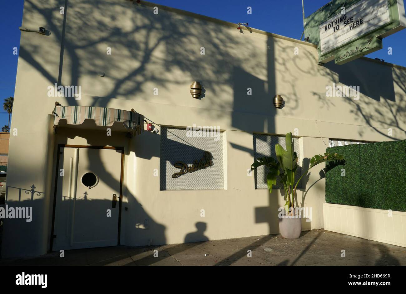 Doja cat birthday party hi-res stock photography and images - Alamy