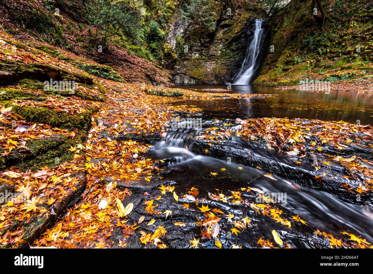 Mountain stream water falling down to the rock garden covered Autumn ...