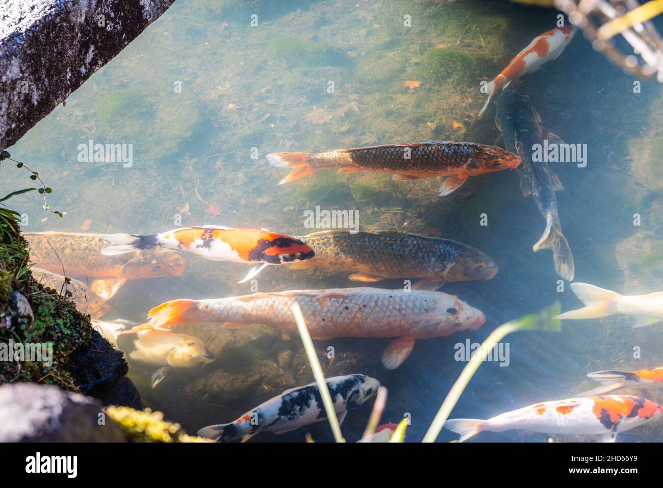 Angle sunlight hi-res stock photography and images - Alamy