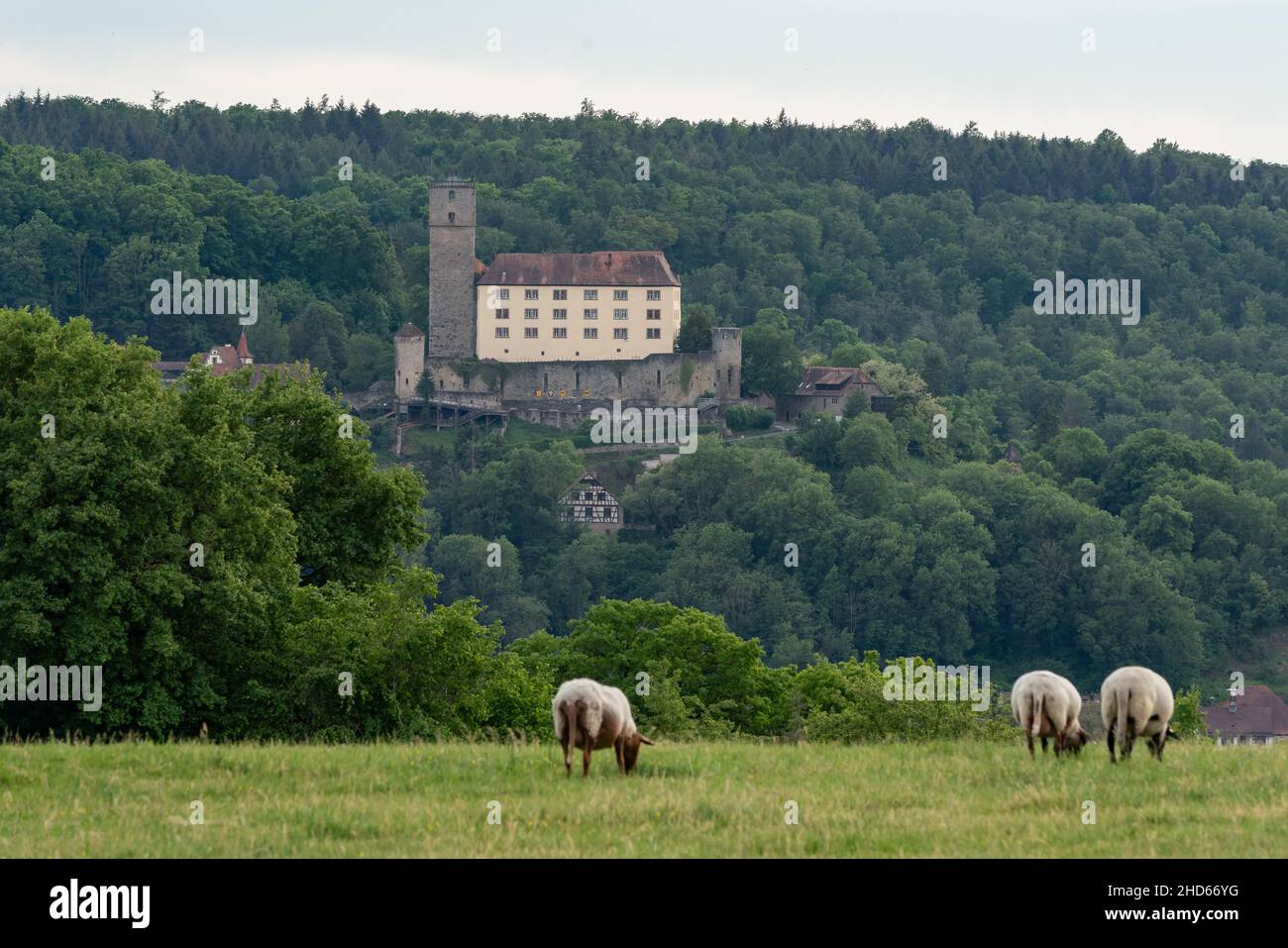 Opposite side from the tower hi-res stock photography and images - Alamy