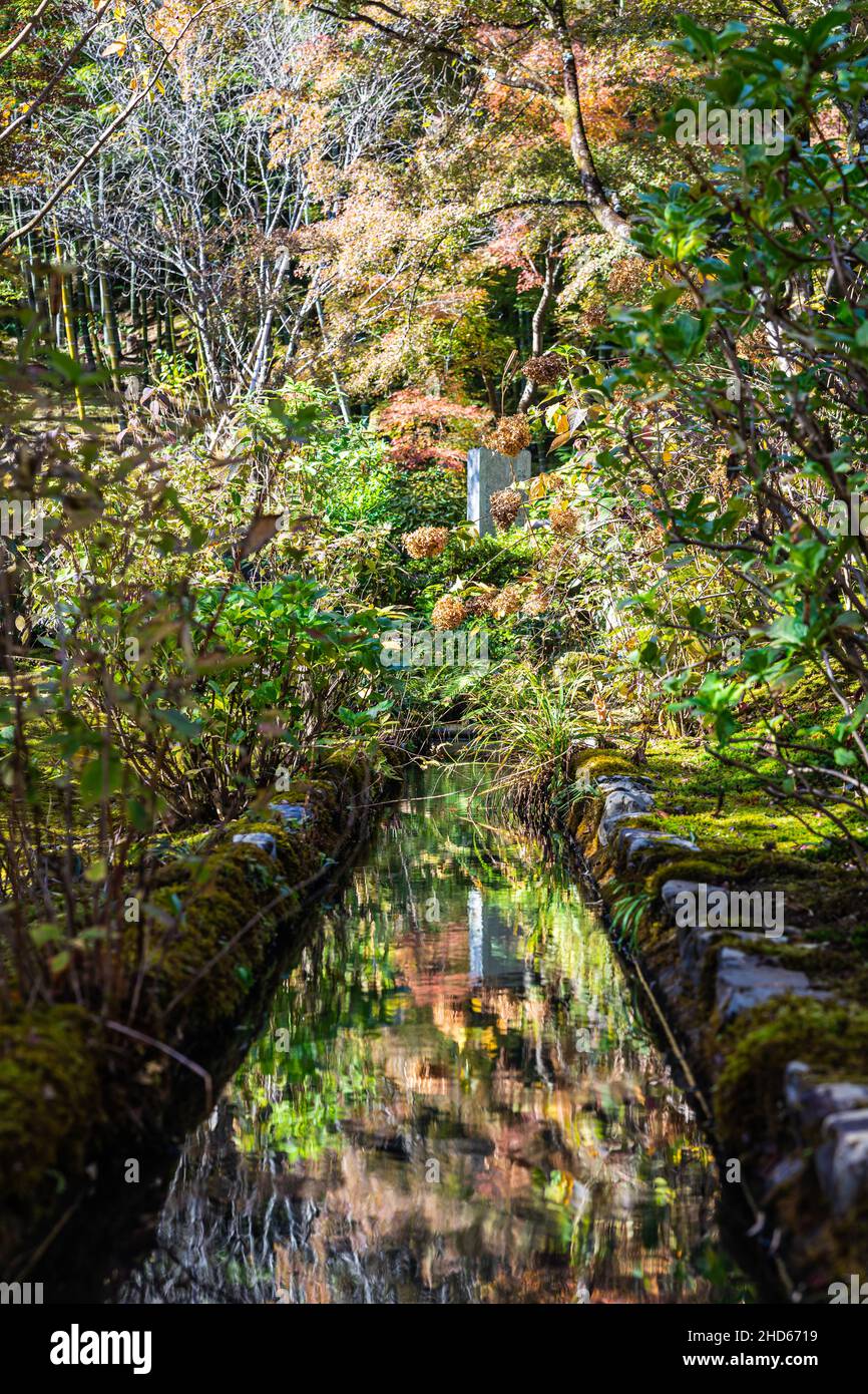 A canal of water flowing away from the viewer, reflecting the colors of ...