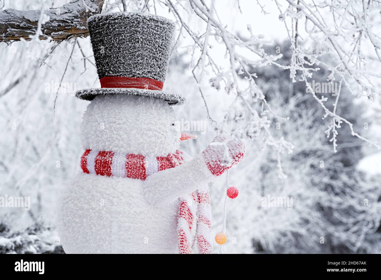 Frosty the Snowman on a cold winter day Stock Photo - Alamy