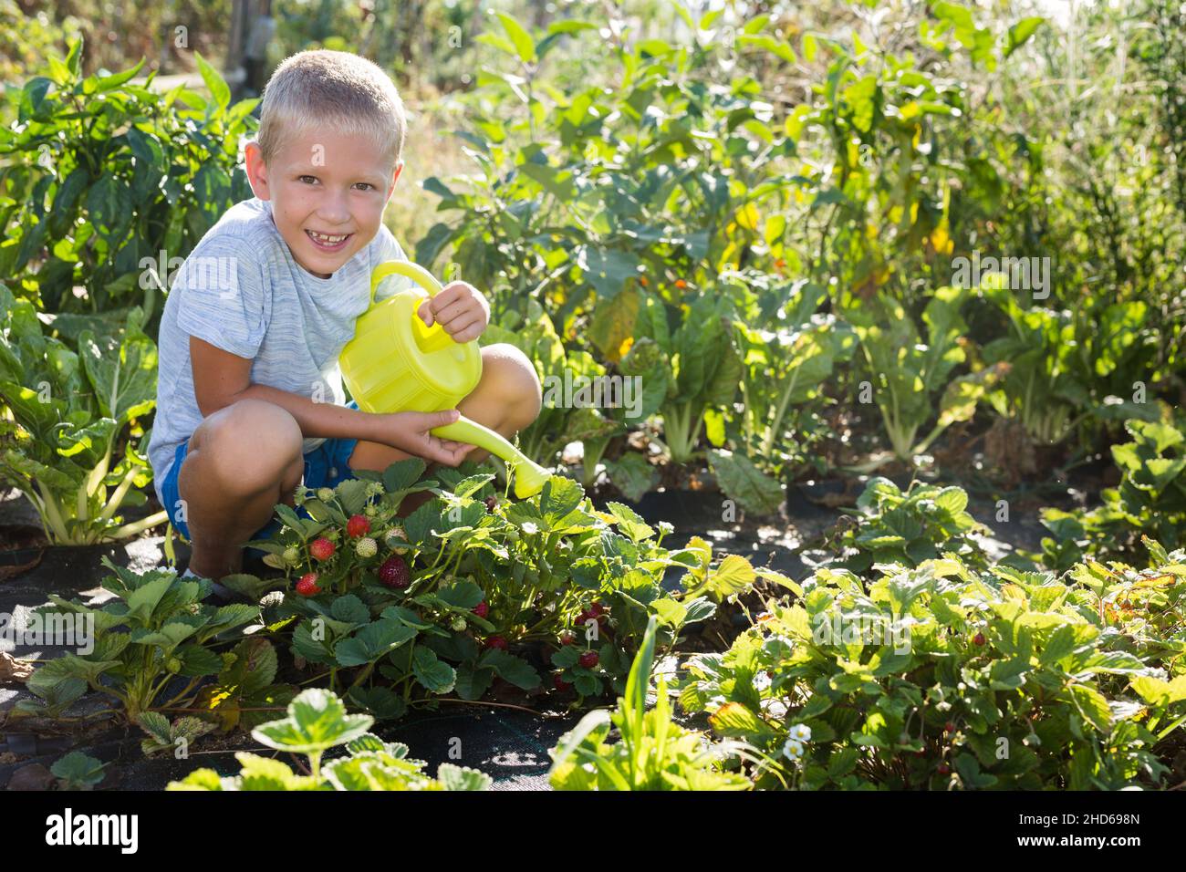 Boy gardener hi-res stock photography and images - Alamy