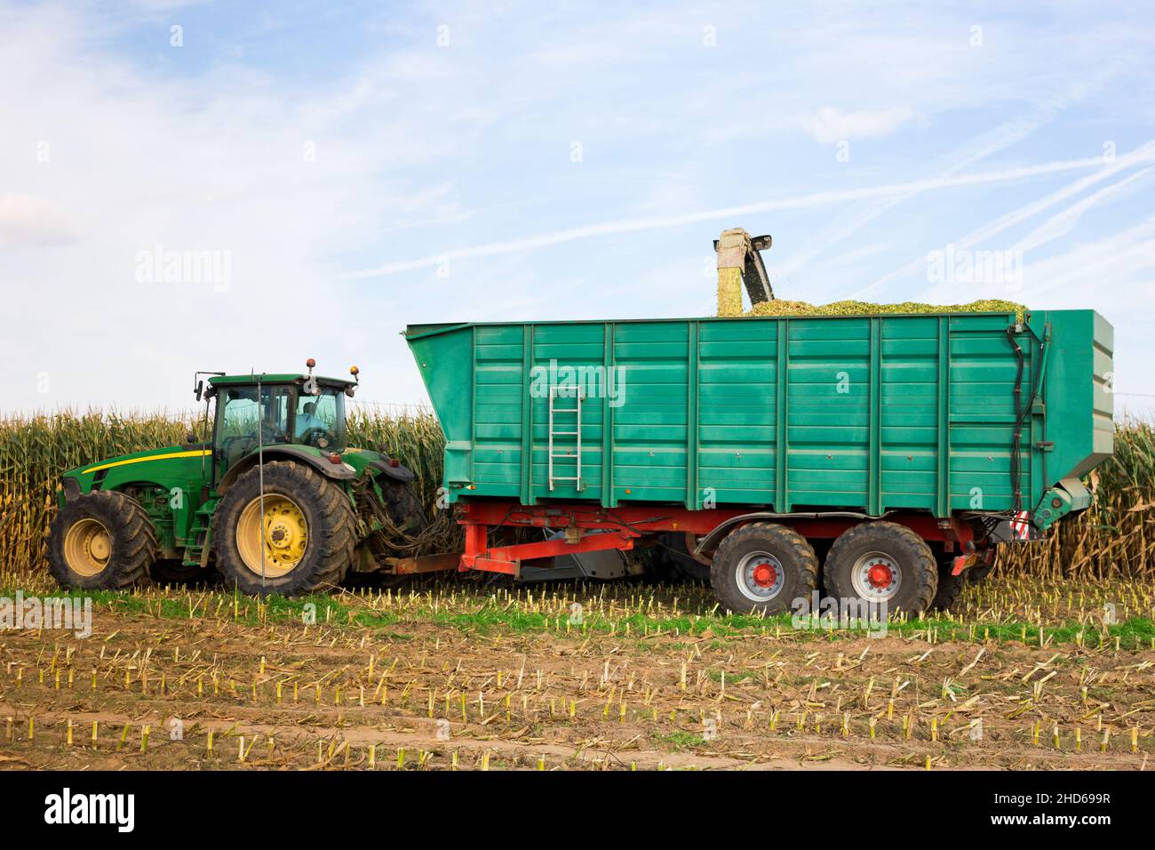Agricultural machinery harvesting maize Stock Photo - Alamy
