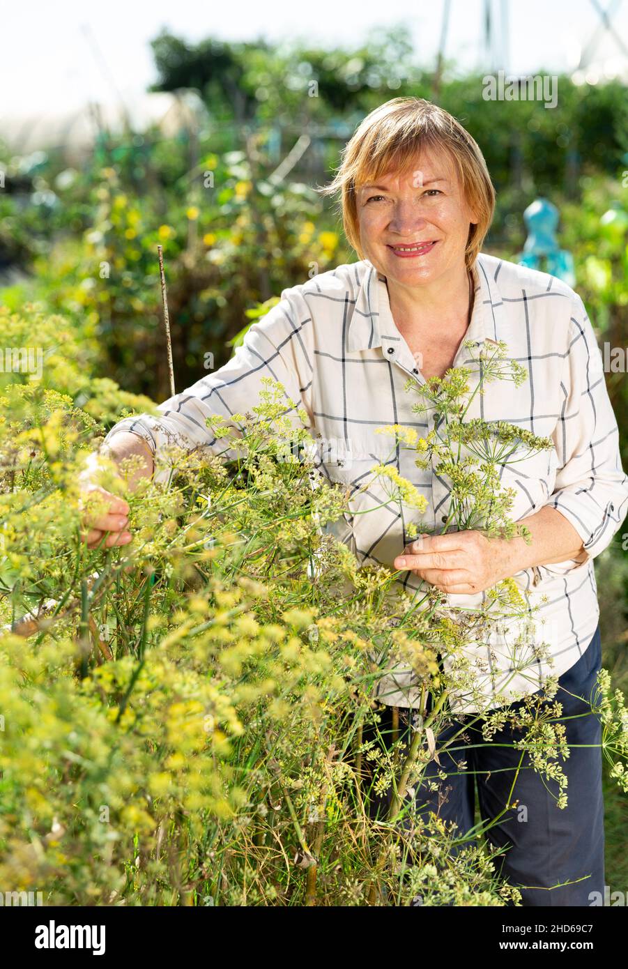 Horticulturist gardener hi-res stock photography and images - Alamy