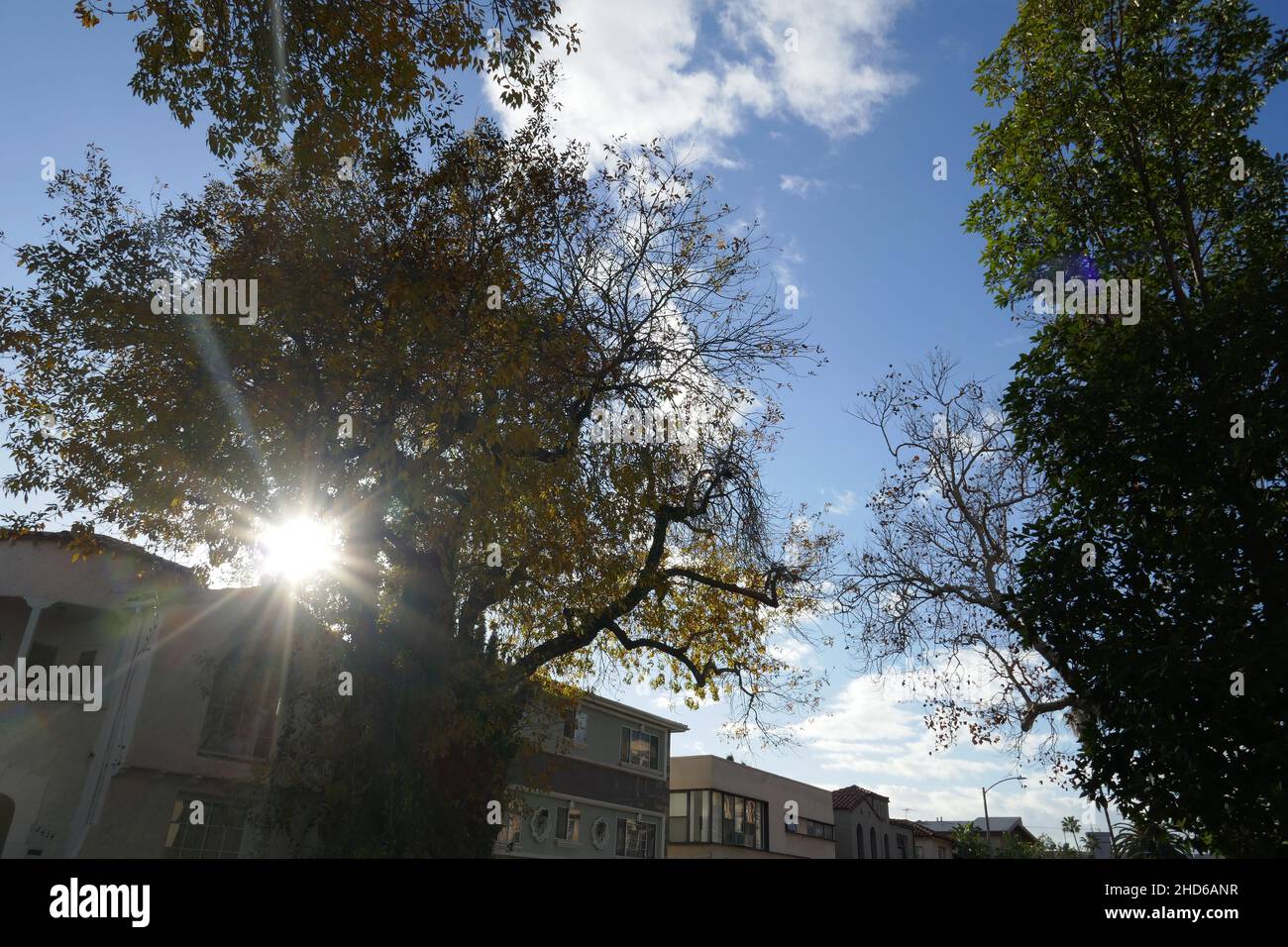Los Angeles, California, USA 28th December 2021 A general view of ...