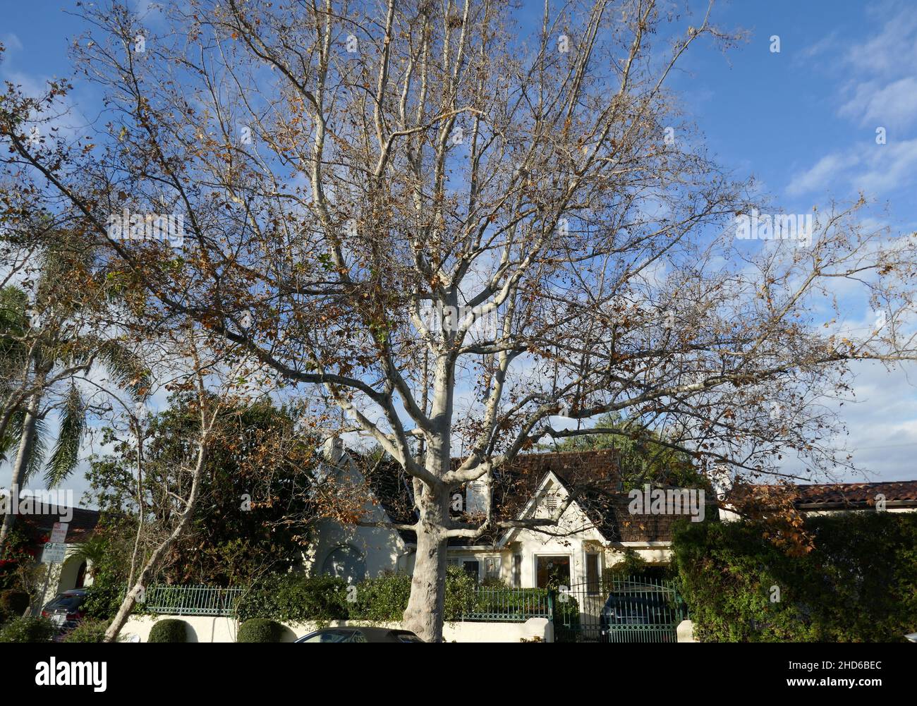 Tyne daly 2021 hi-res stock photography and images - Alamy